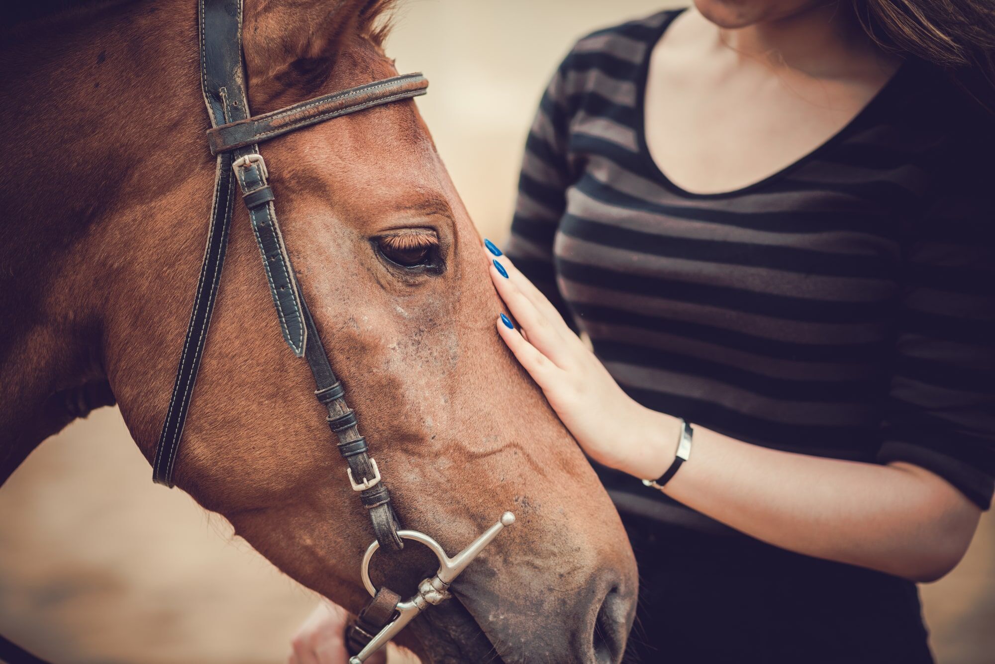 How Equine Therapy Helps Those Struggling With Addictions - Ranch Creek ...