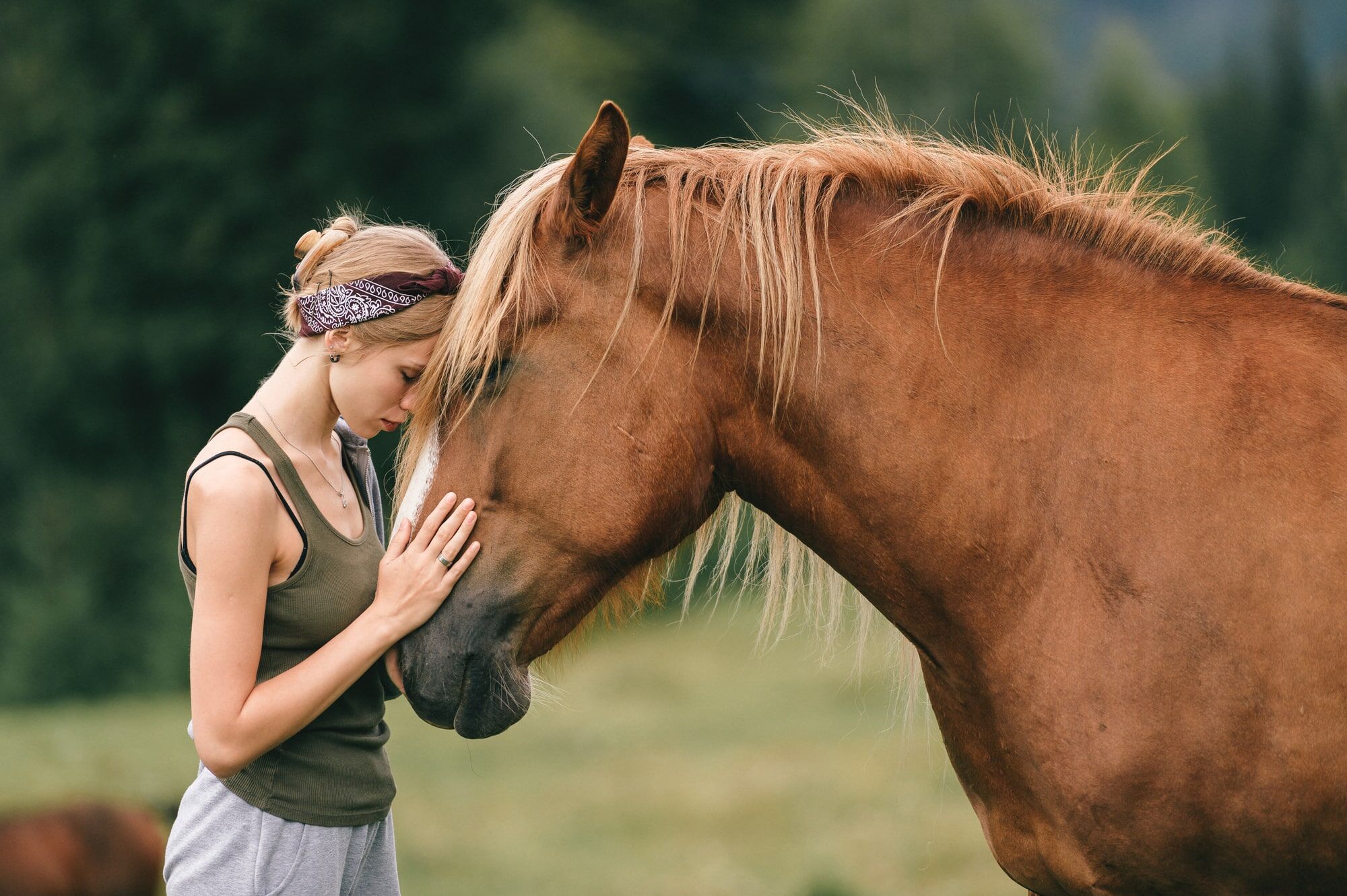 How Equine Therapy Helps Those Struggling With Addictions - Ranch Creek ...